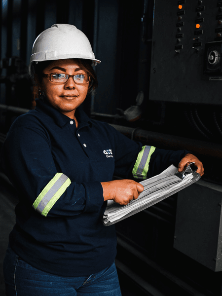 QSD – Decapado Industrial